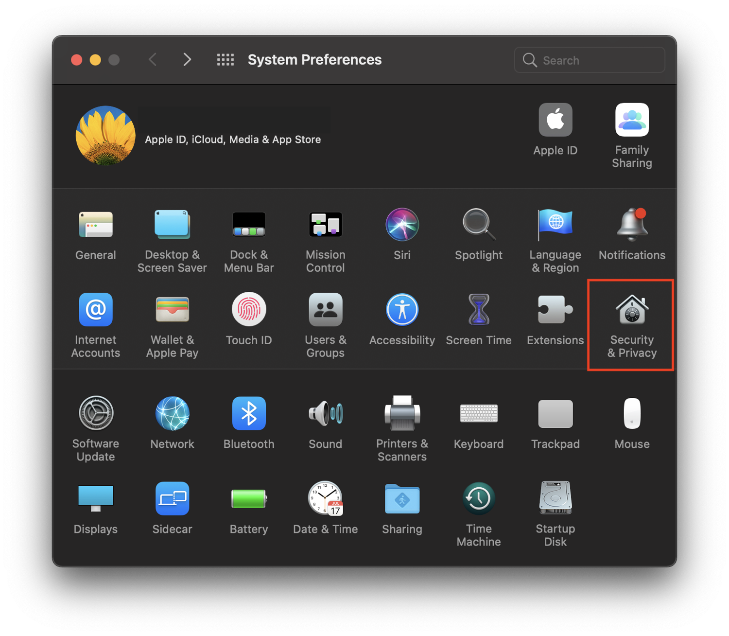 DisplayLink Manager App Installation Instructions for macOS 10.15 ...